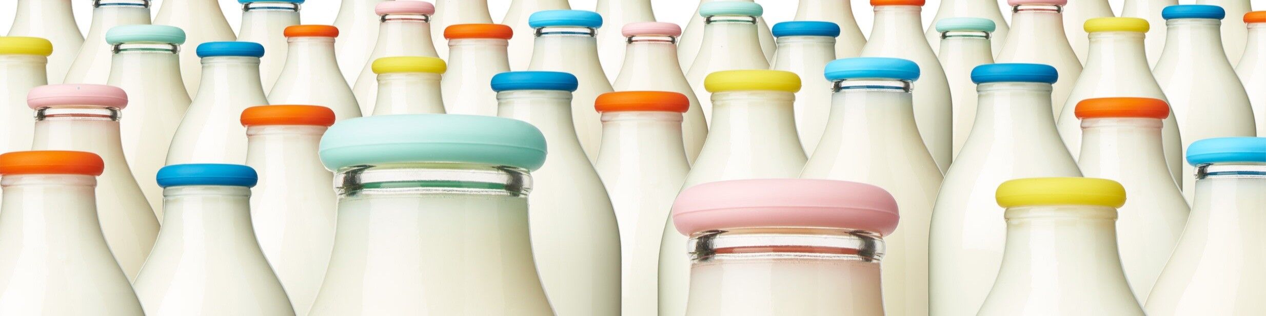 Buy Moopops wholesale products on Ankorstore