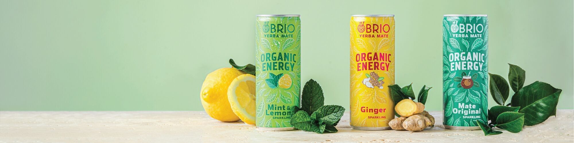 Achat produits Brio Maté en gros sur Ankorstore