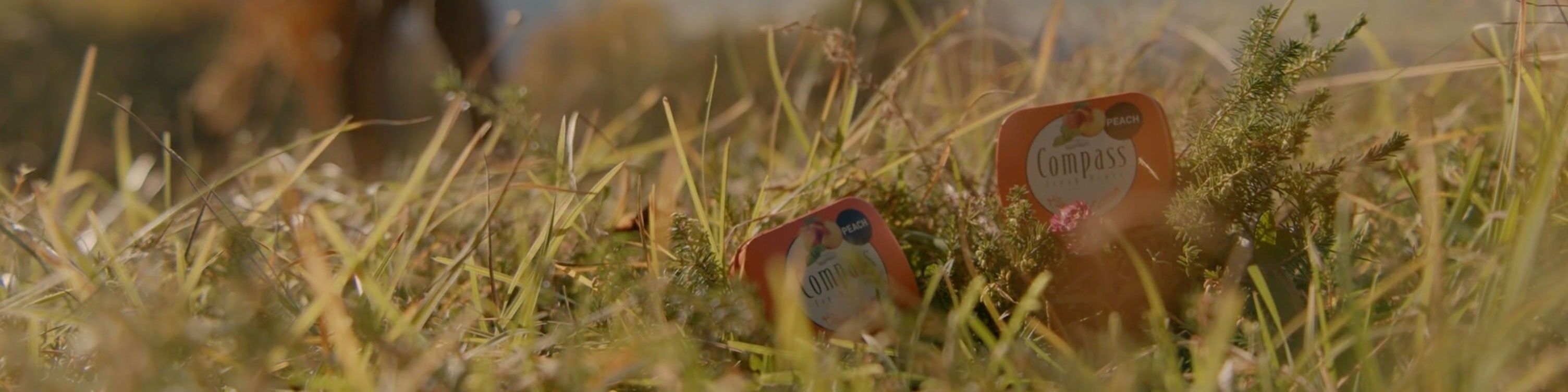 Compra productos de Compass Mints al por mayor