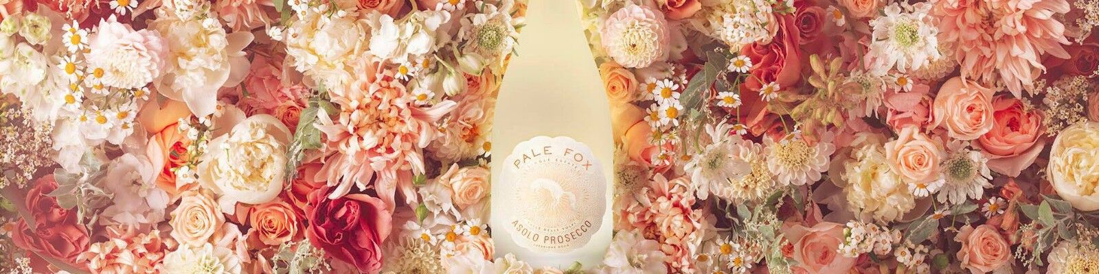 Achat produits Pale Fox Prosecco en gros sur Ankorstore