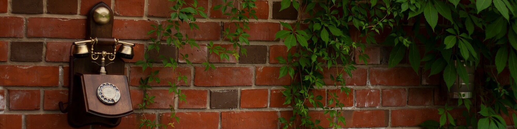 Buy Opis Technology wholesale products on Ankorstore - 1