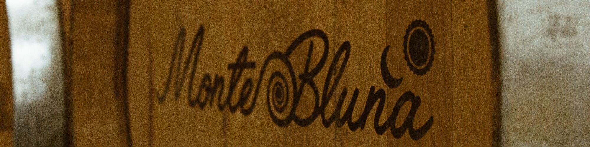 Buy Monte Bluna wholesale products on Ankorstore