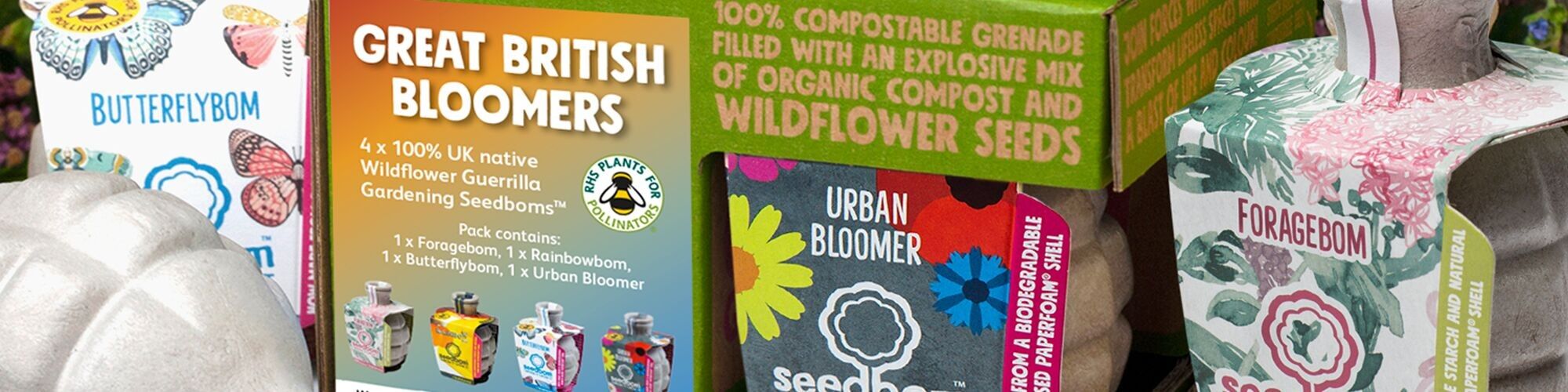 Achat produits Shroot: Kabloom Seedboms en gros sur Ankorstore