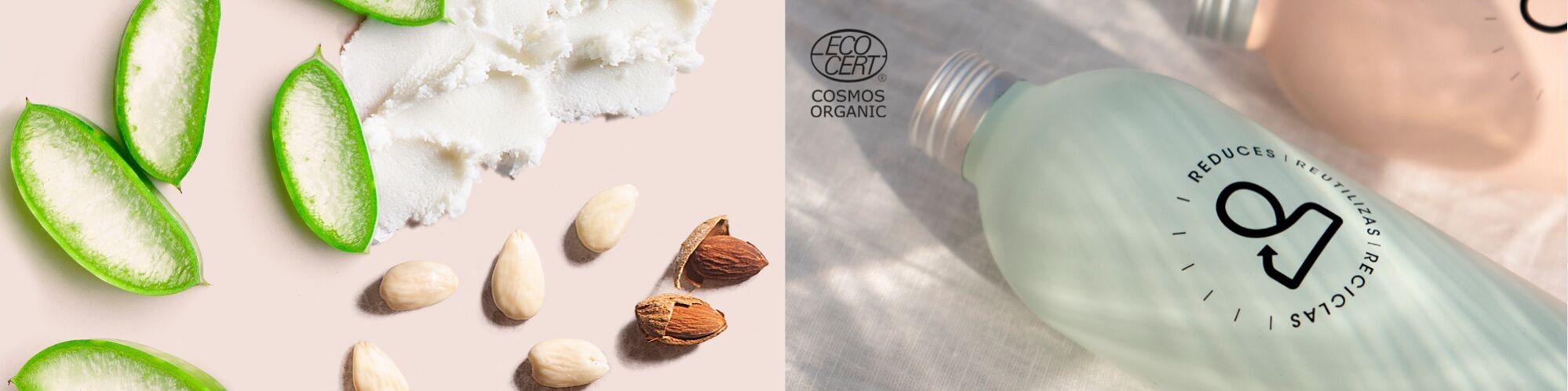 Buy RRR'biocosmetics wholesale products on Ankorstore