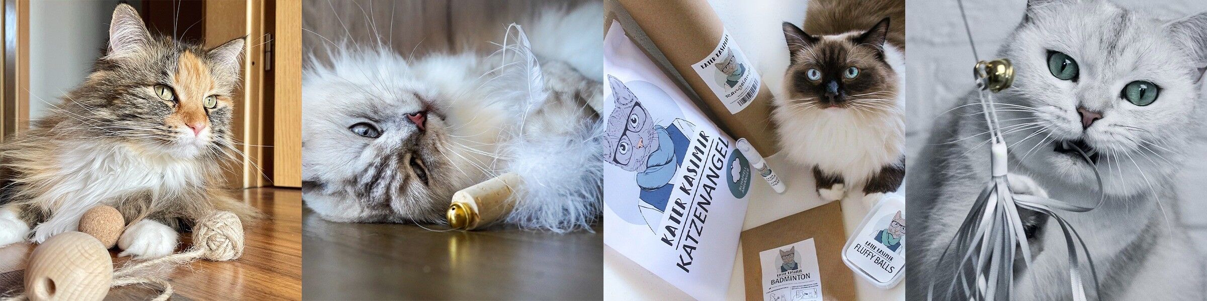 Buy Kater Kasimir wholesale products on Ankorstore