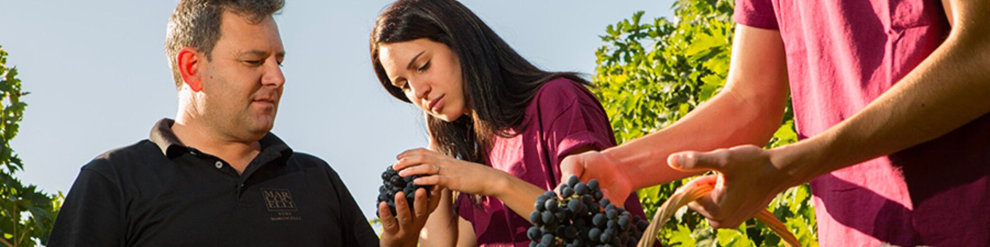 Buy MARCOCELLI wholesale products on Ankorstore