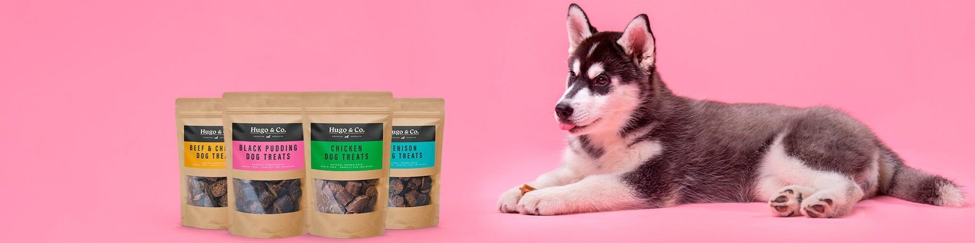 Buy Hugo & Co Treats wholesale products on Ankorstore