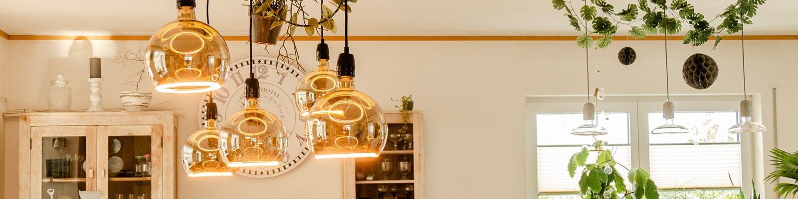 Buy Segula Germany wholesale products on Ankorstore