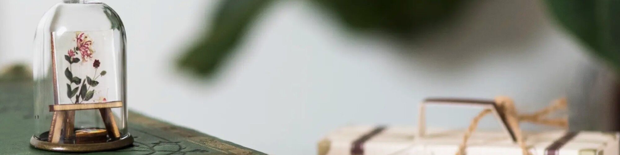 Buy My Papercut Forest wholesale products on Ankorstore