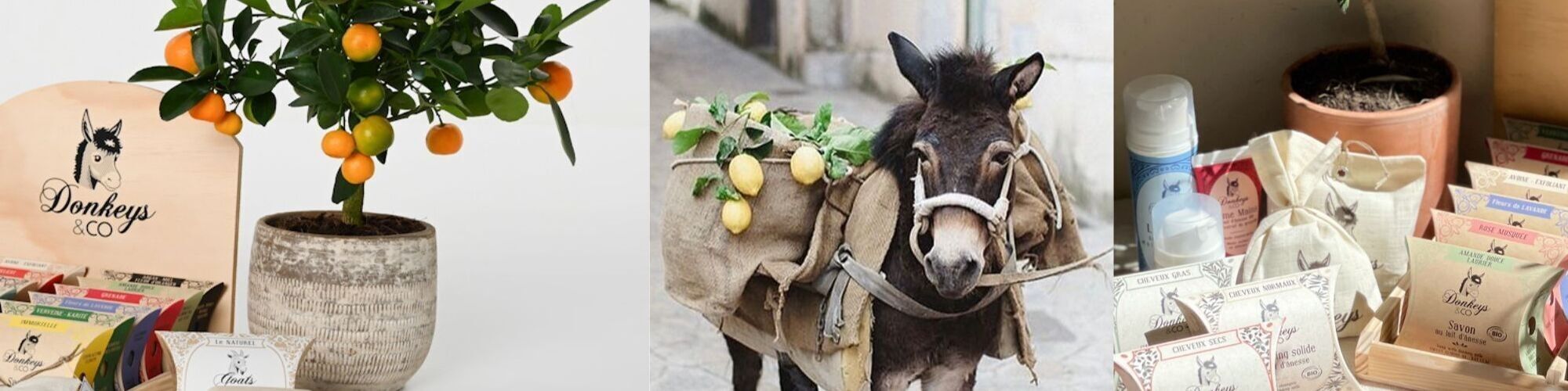Buy Donkeys and Co wholesale products on Ankorstore