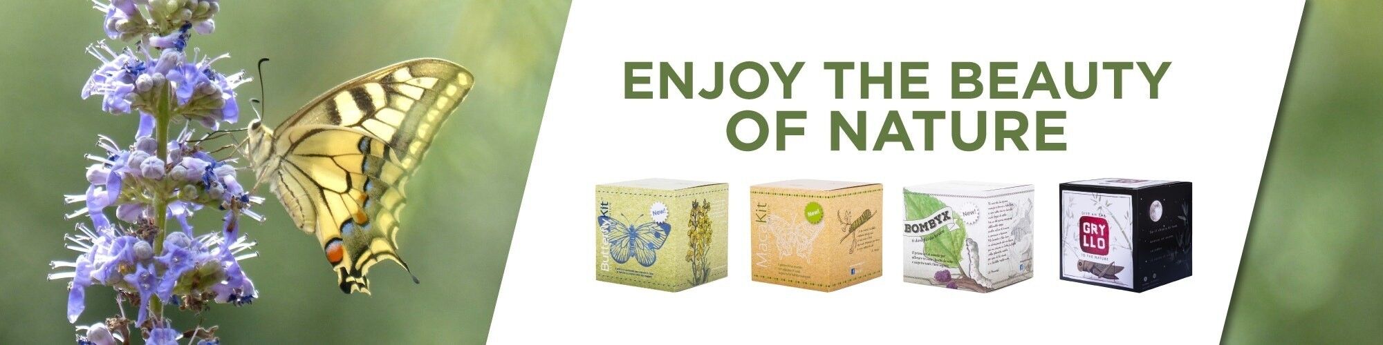 Buy Smart Bugs wholesale products on Ankorstore