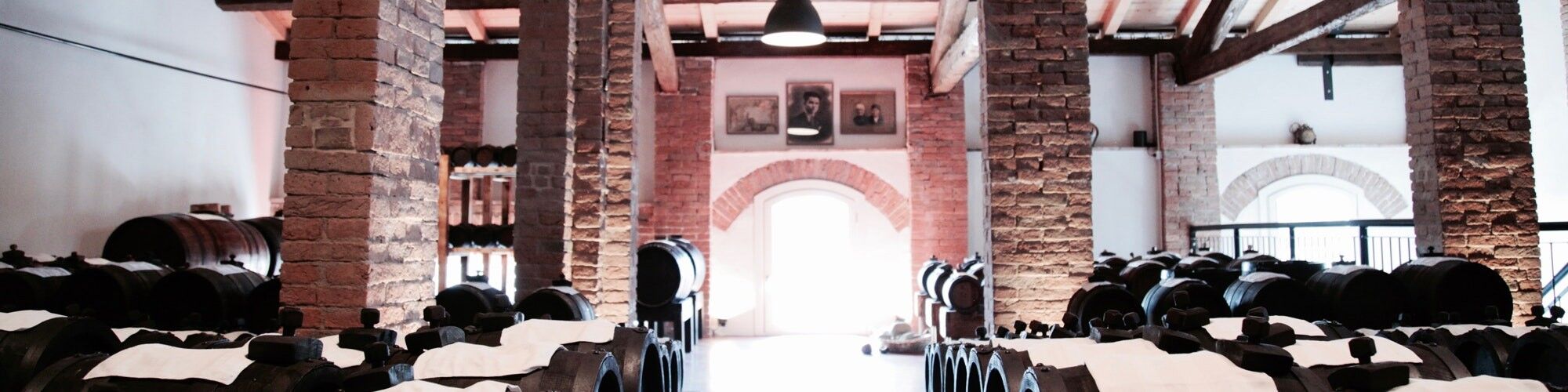 Buy Bonini srl wholesale products on Ankorstore