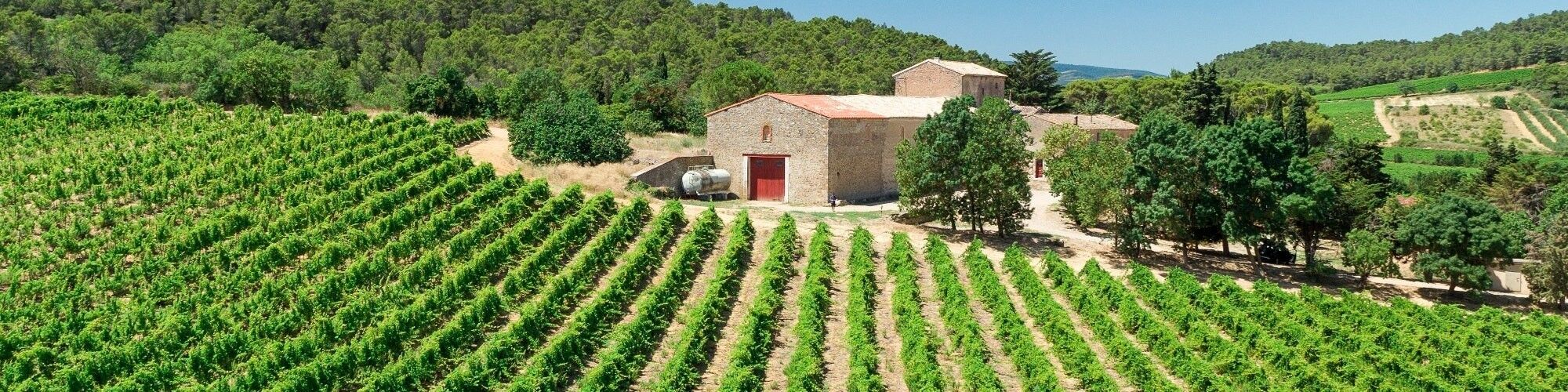 Achat produits Prax Viel Vins et Vacances en gros sur Ankorstore