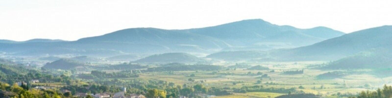 Buy SCV CASTELMAURE wholesale products on Ankorstore