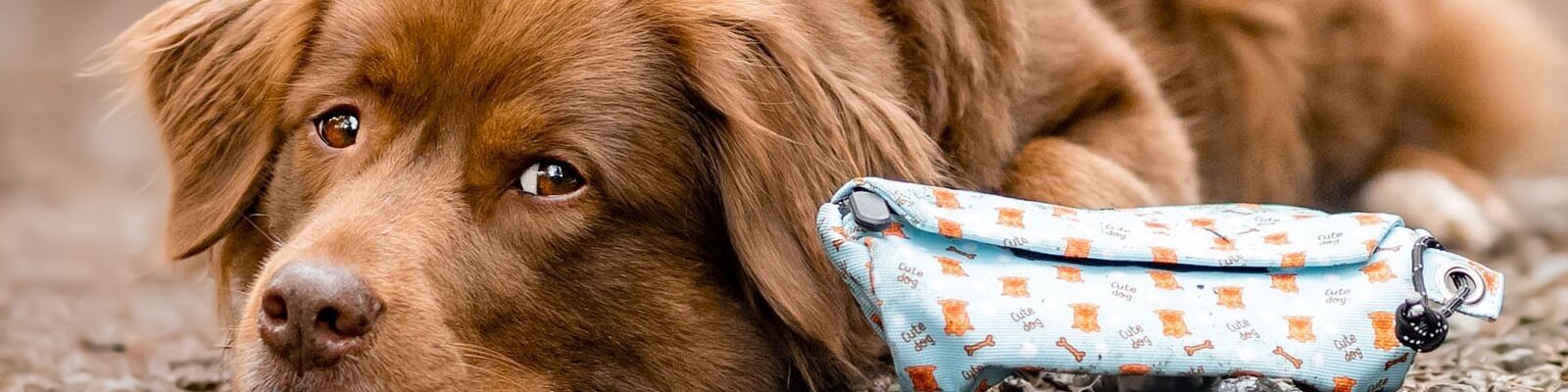 Buy STUCH wholesale products on Ankorstore