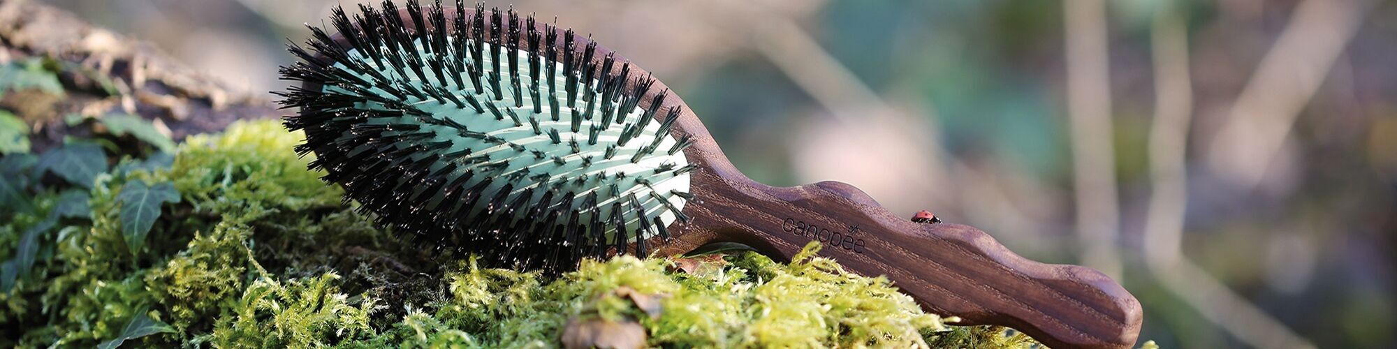 Buy Fournival Altesse wholesale products on Ankorstore