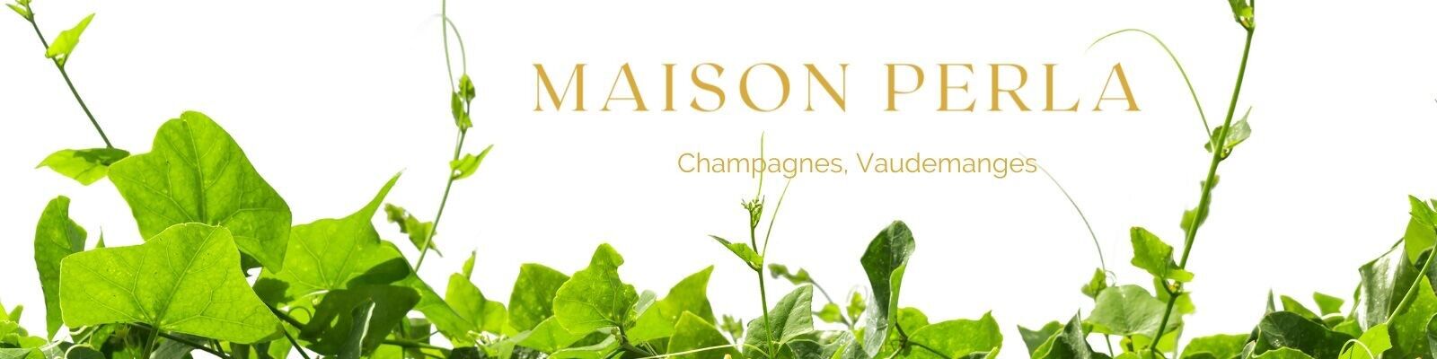 Achat produits MAISON PERLA en gros sur Ankorstore