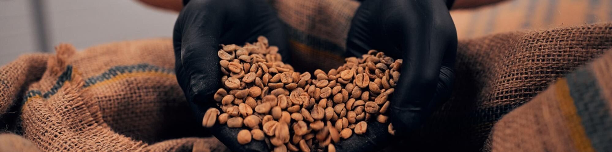 Buy OTEKA wholesale products on Ankorstore