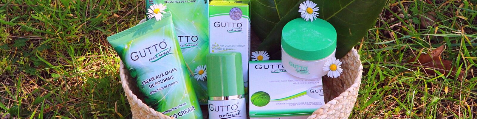 Buy Gutto Natural wholesale products on Ankorstore