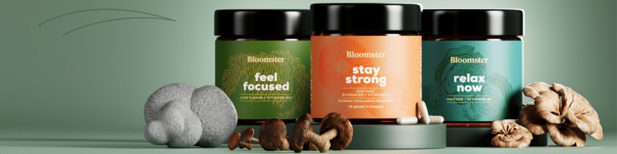 Achat produits Bloomster en gros sur Ankorstore