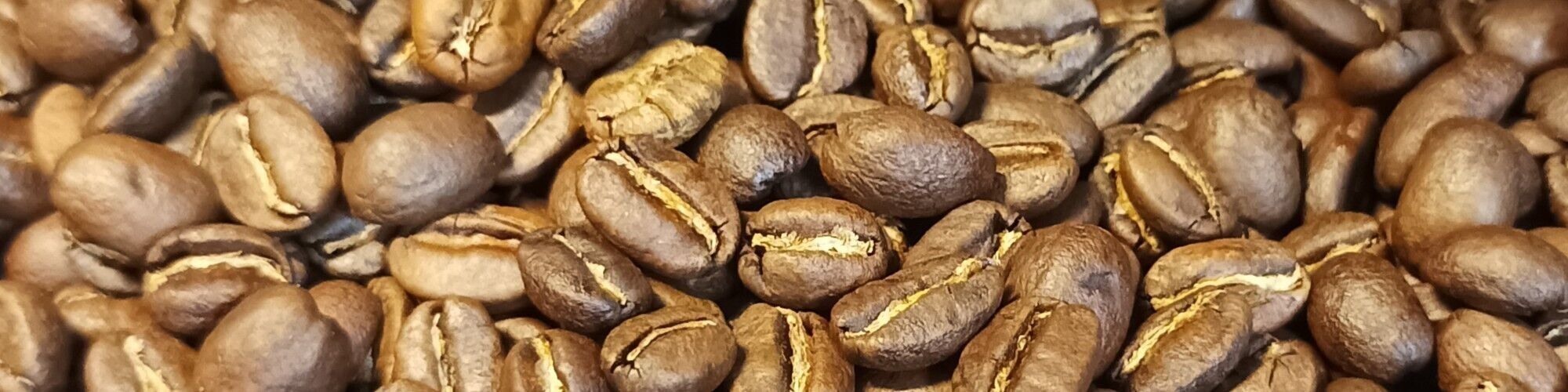 Buy MONKAWA wholesale products on Ankorstore