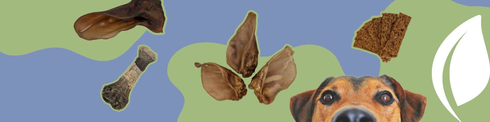 Buy Masti'Corp wholesale products on Ankorstore