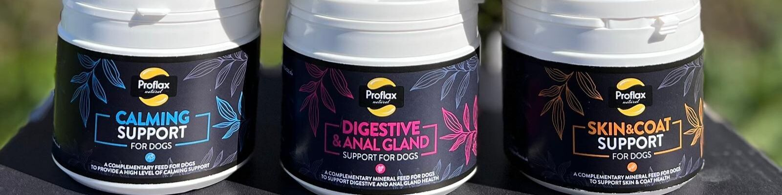 Buy Proflax wholesale products on Ankorstore