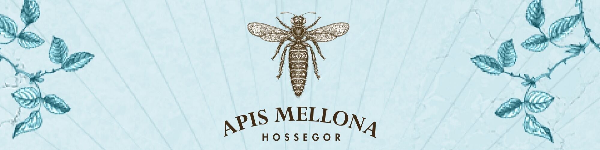 Achat produits Apis Mellona en gros sur Ankorstore
