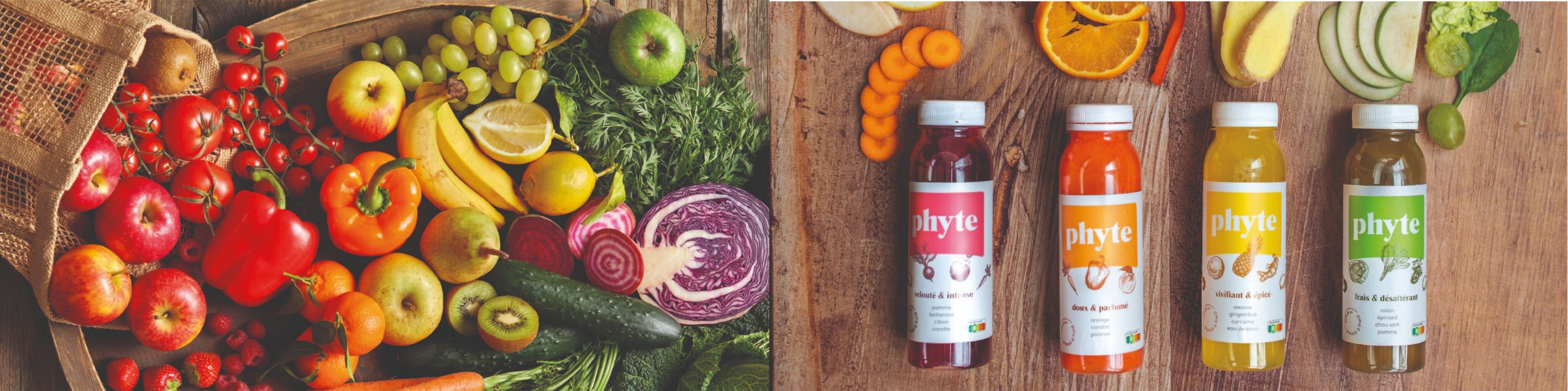 Buy phyte wholesale products on Ankorstore