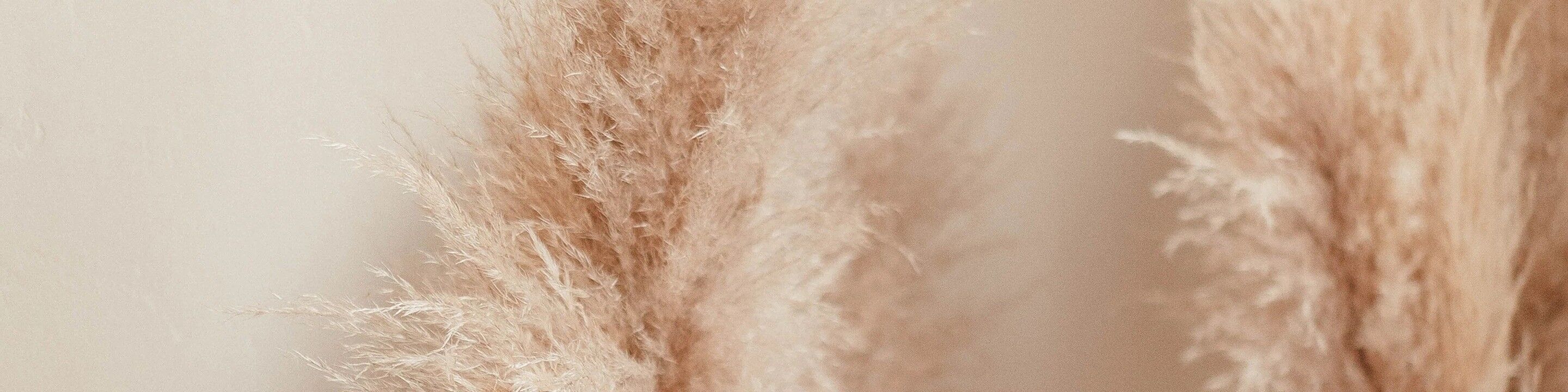 Buy Bareaya wholesale products on Ankorstore