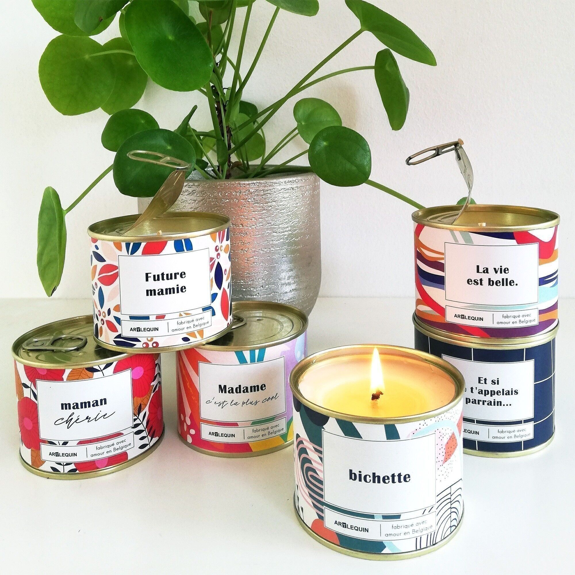 Achat produits Piplet Paper en gros sur Ankorstore