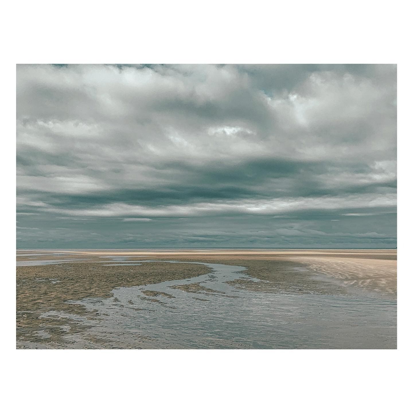 Buy Reinders wholesale products on Ankorstore