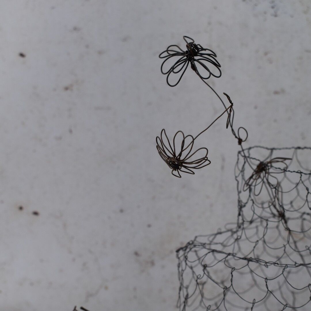 Achat produits Piplet Paper en gros sur Ankorstore