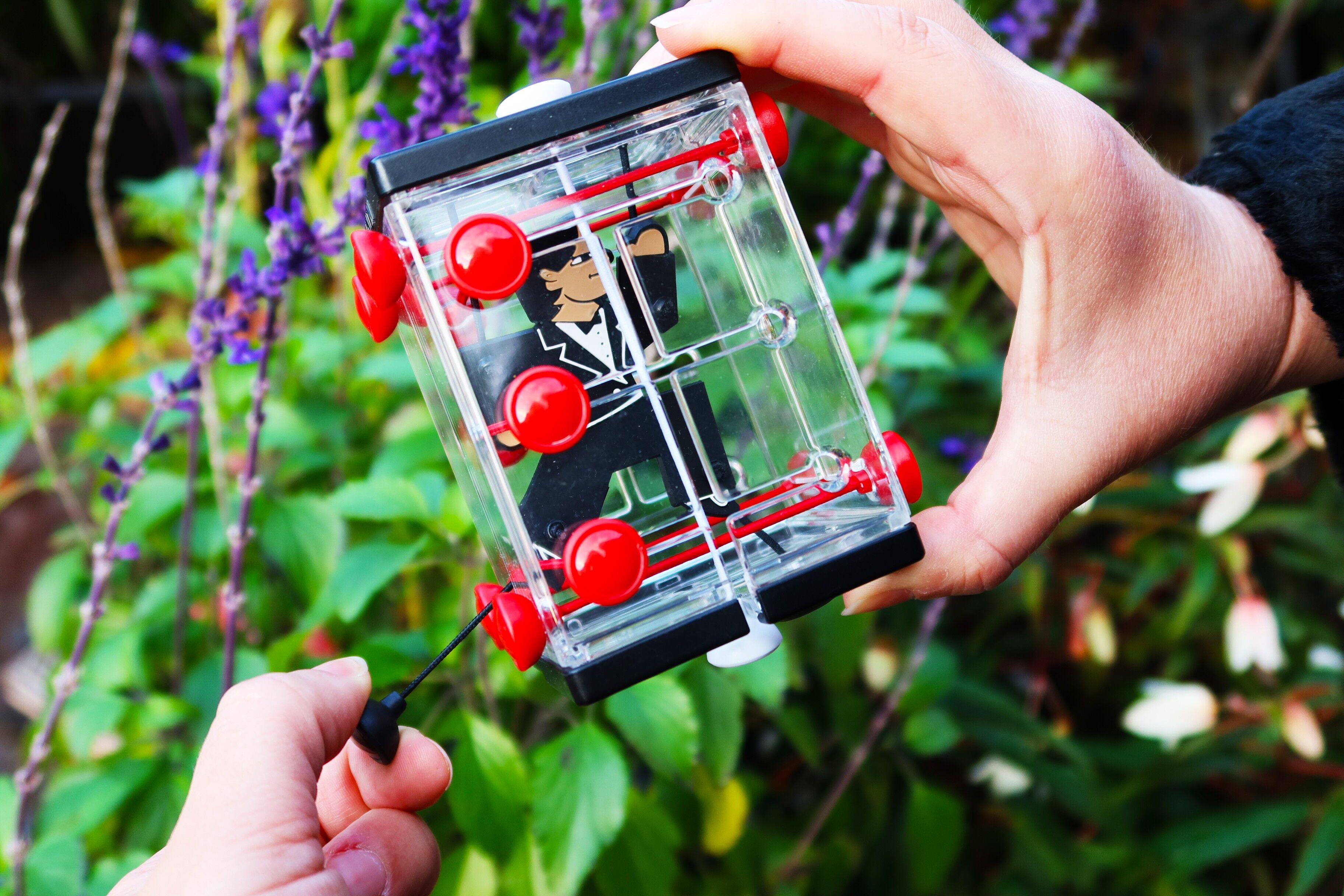 Buy wholesale Brainstring Houdini