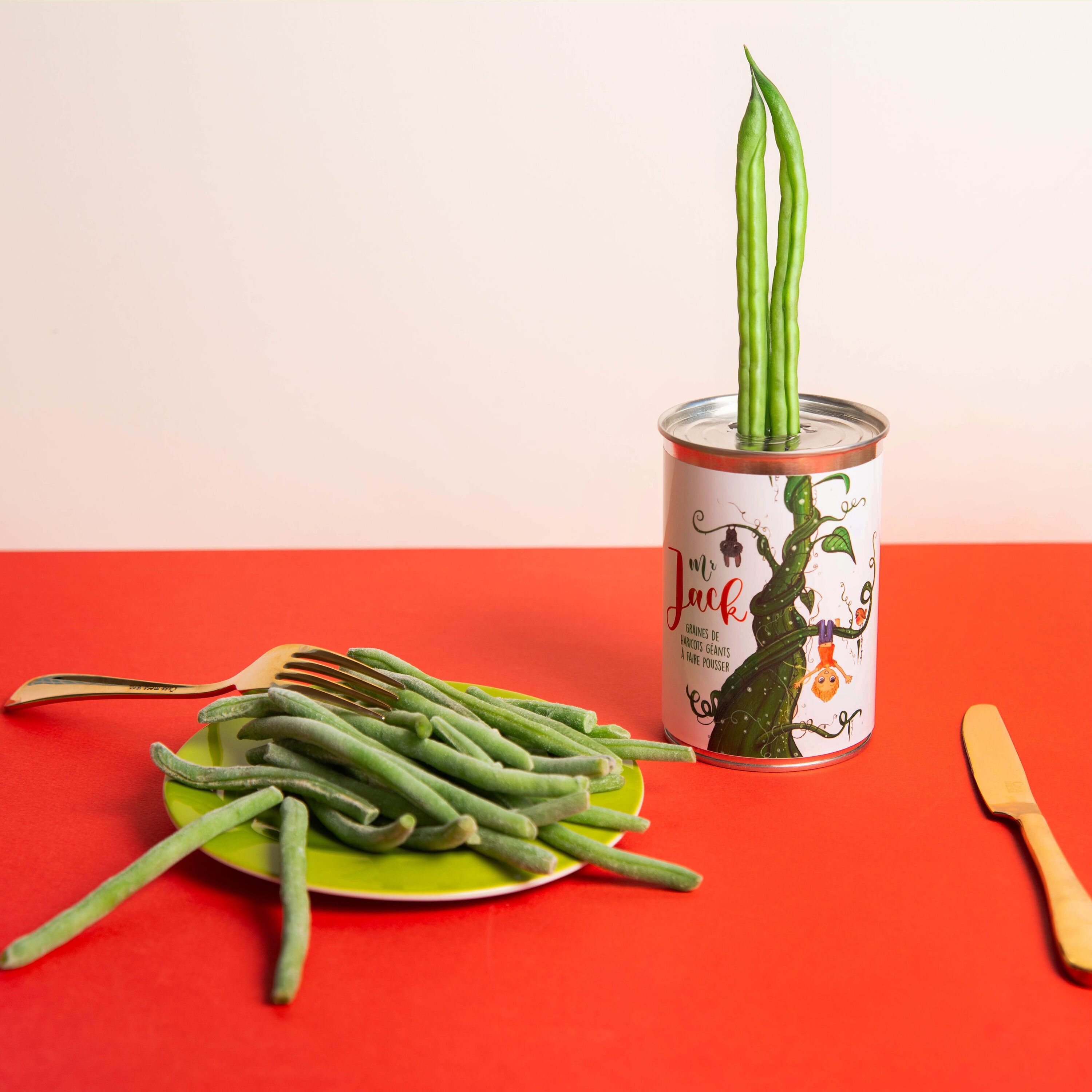 Buy wholesale Sowing kit "Mr Jack" Made in France