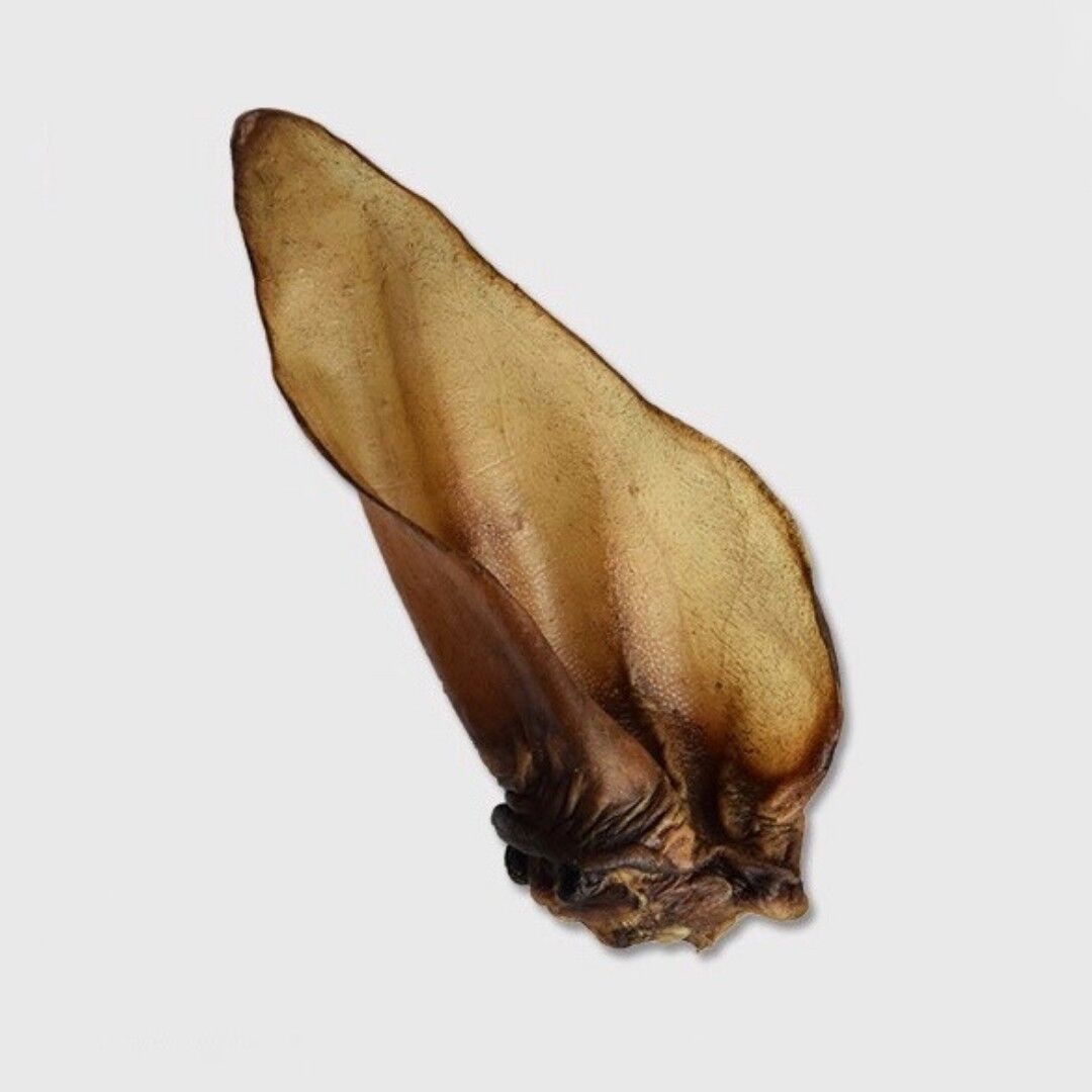 Buy wholesale Beef Ear 🐂 10