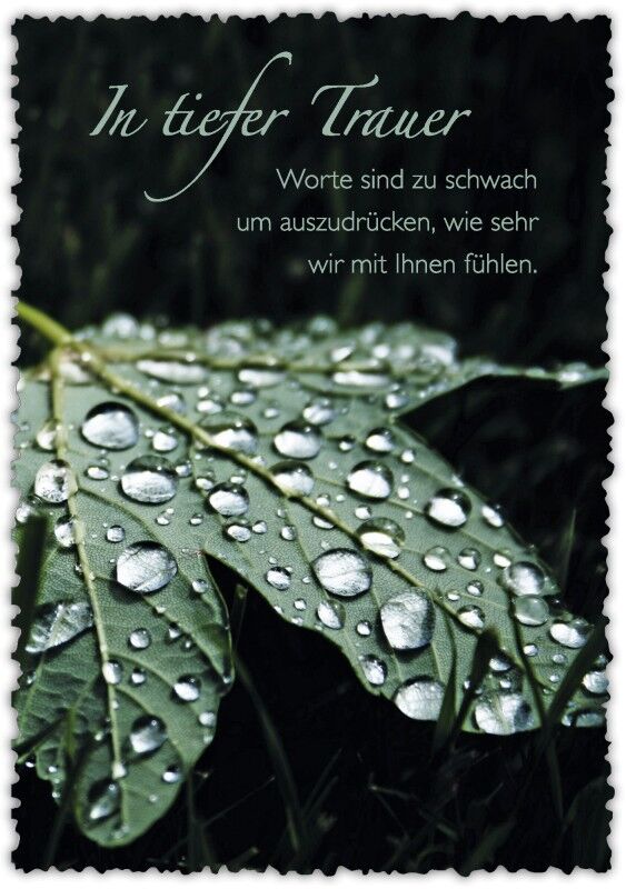 Kaufen Sie Trauerkarte "In tiefer Trauer" zu Großhandelspreisen