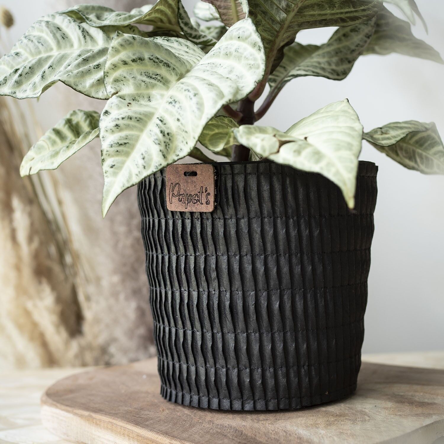 Buy wholesale Zero-waste pot | FOLD Black (Ø13cm)