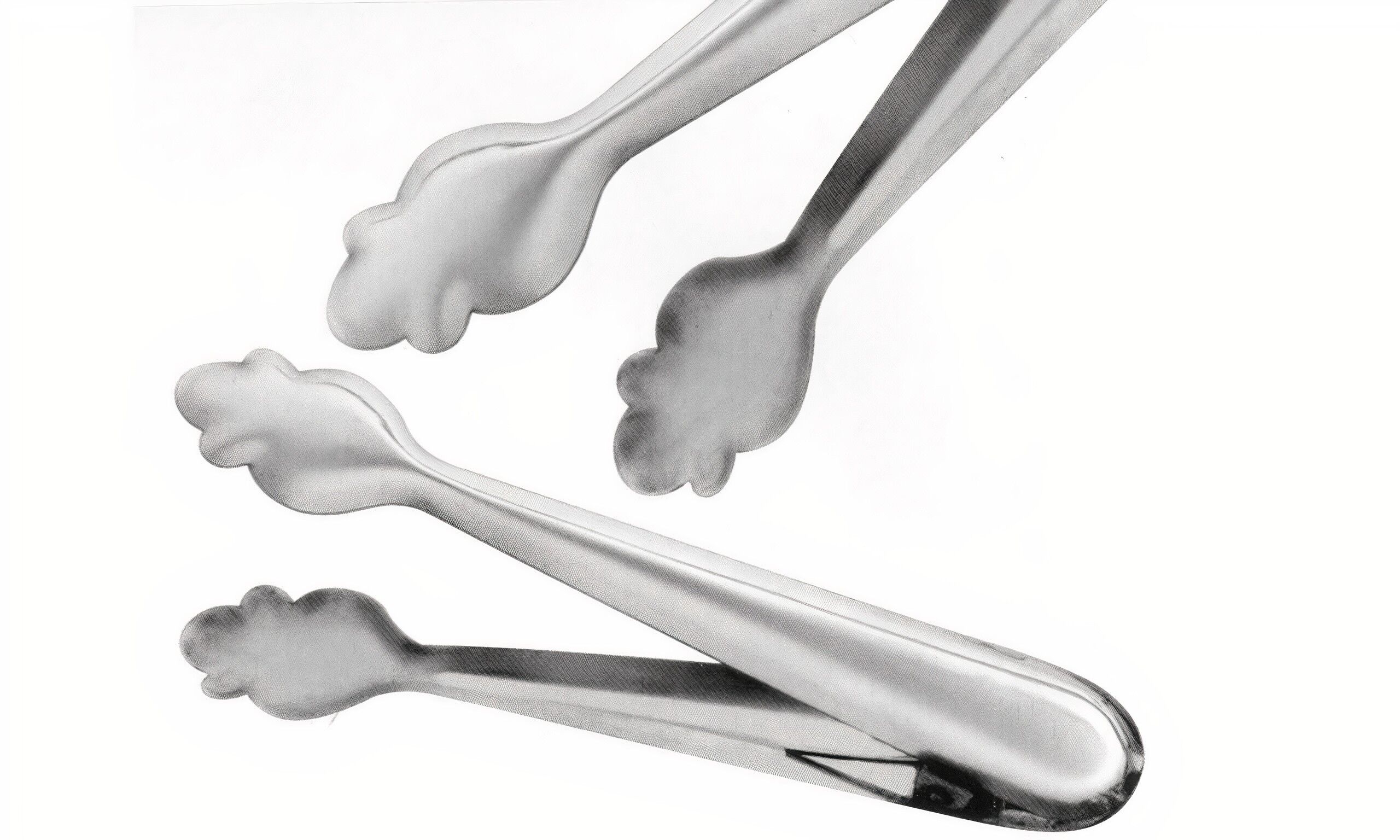 Achat PINCE A GLACE INOX 18X3.5 CM AVEC RESSORT en gros