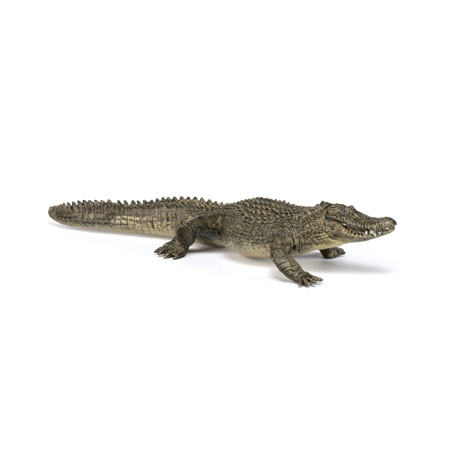 Buy wholesale Papo - Figurine - Alligator - WILD LIFE Collection - Ref ...