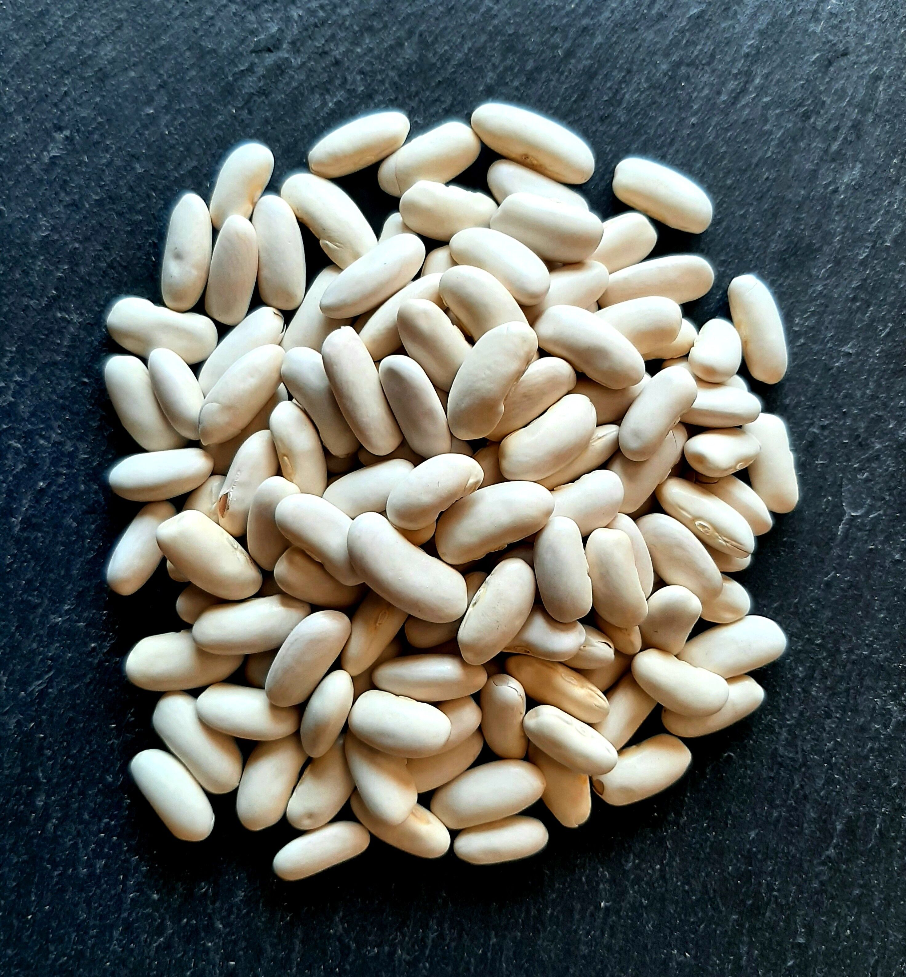 Achat vrac haricots lingots blancs 5kg en gros