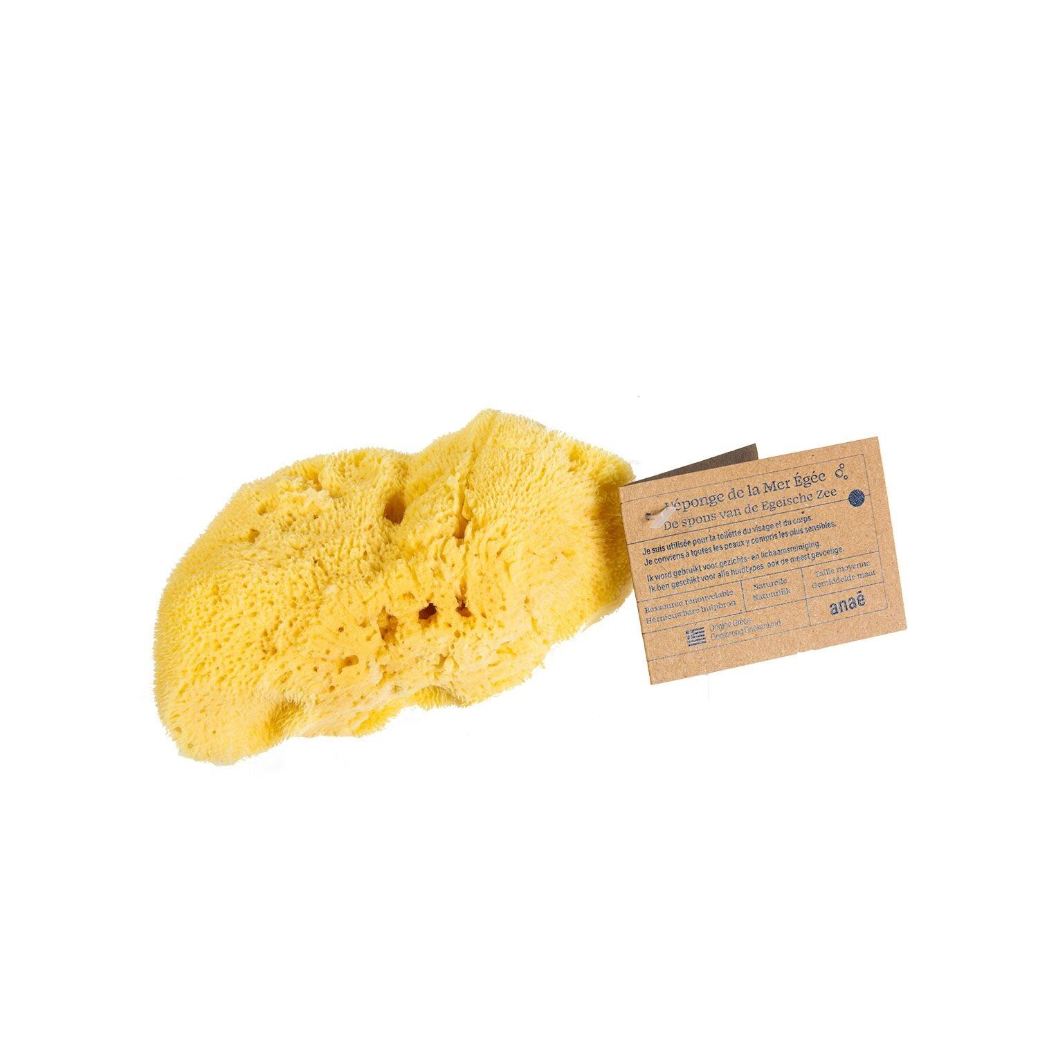 Buy wholesale Natural sponge from the Aegean Sea (medium)