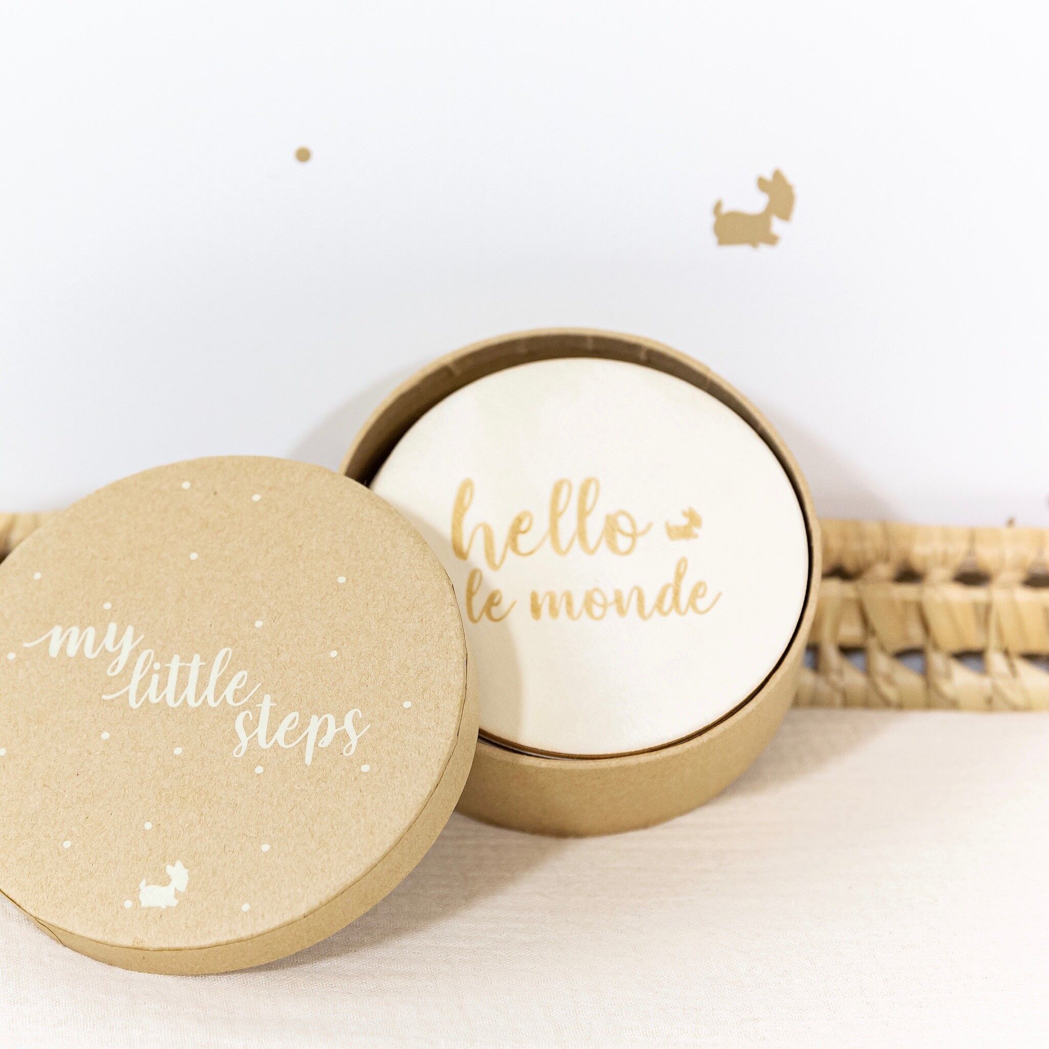 Buy wholesale My little steps, the step discs