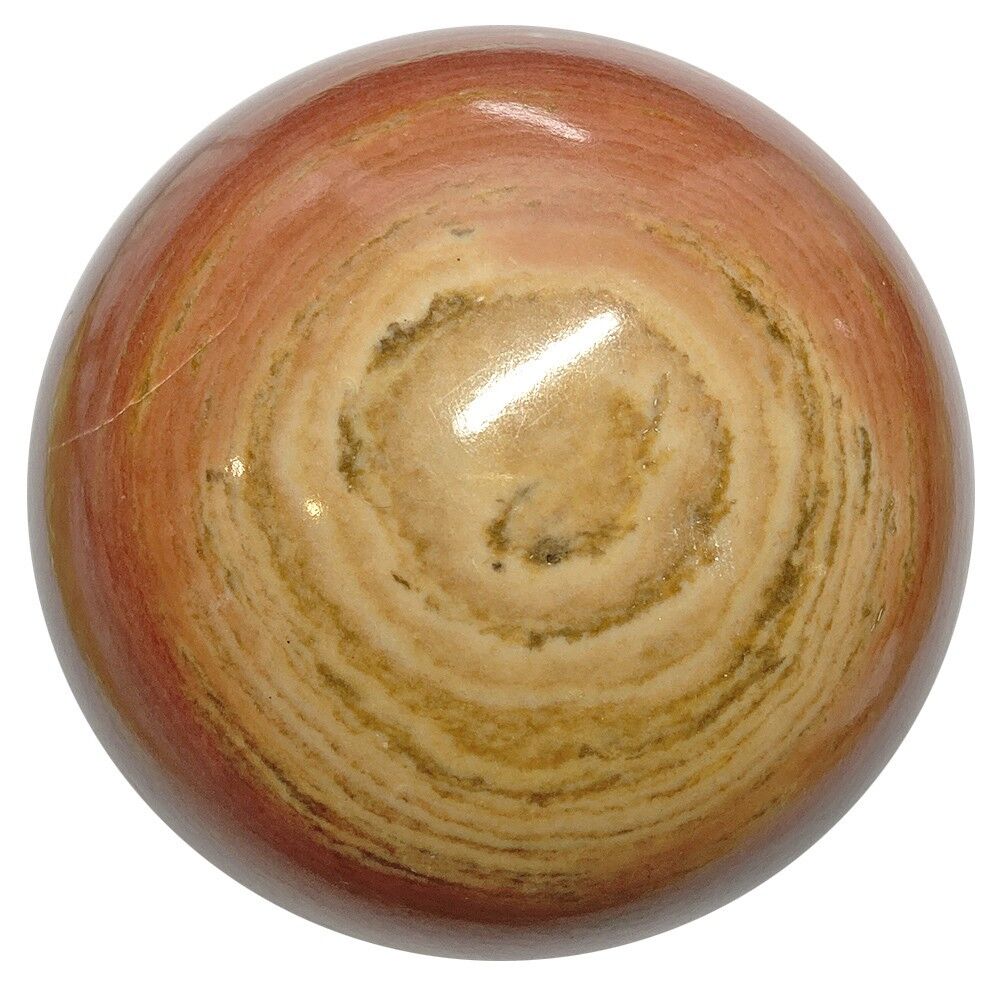 Buy wholesale Fossil Wood Sphere