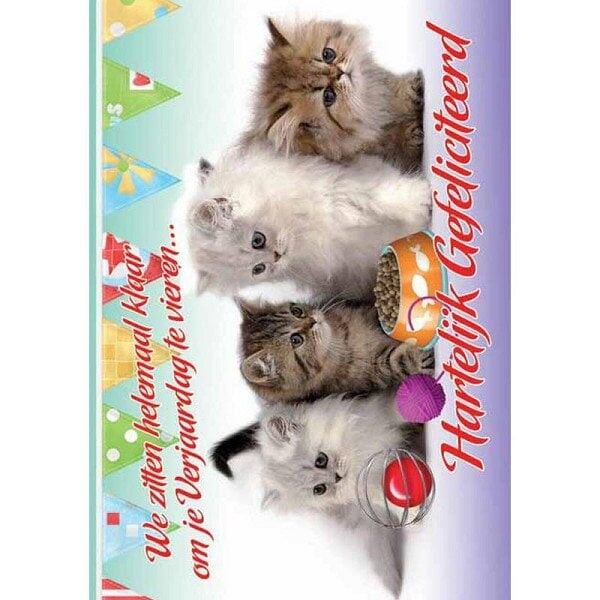 Buy wholesale Greeting cards Congratulations animal package of 10 ...