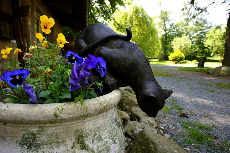 Buy wholesale Cat sculpture, lively animal figures, kittens, in jumping ...