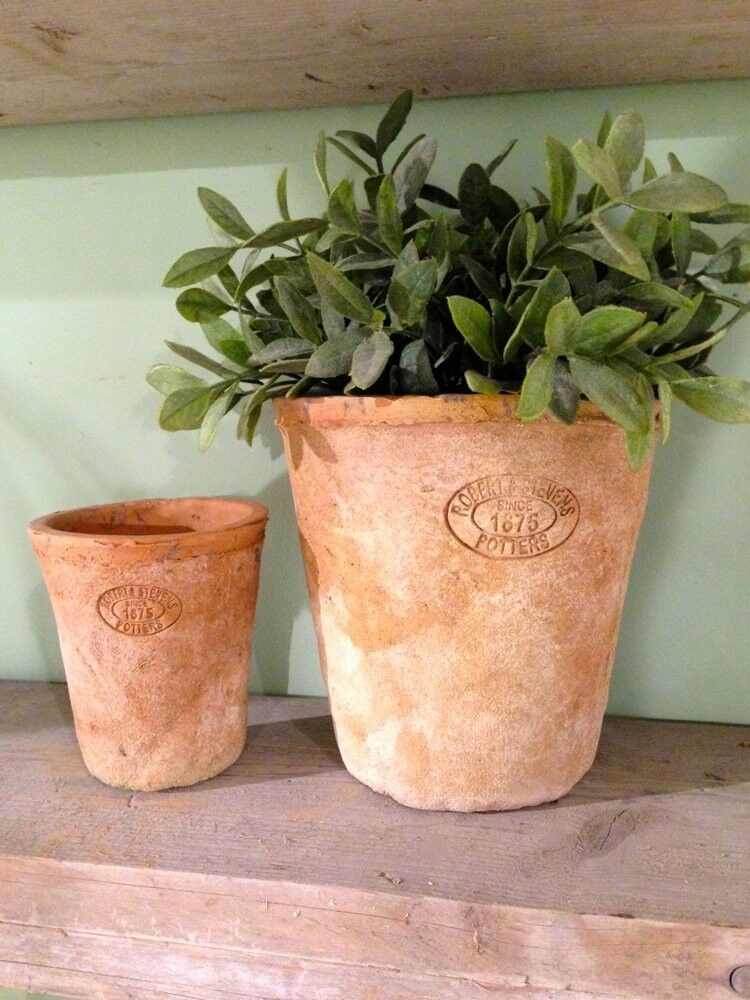 Buy wholesale Terracotta pots, 2 flower pots for herbs + lavender ...