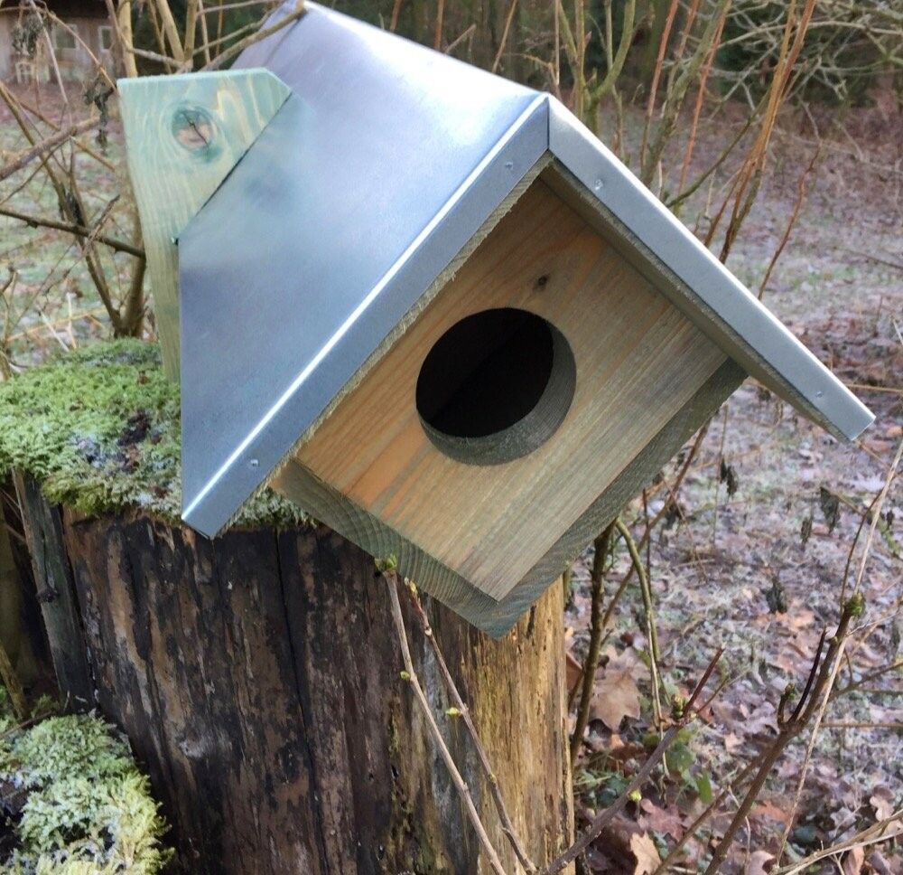 Buy wholesale Little owl nest box owls nesting box for little owl ...