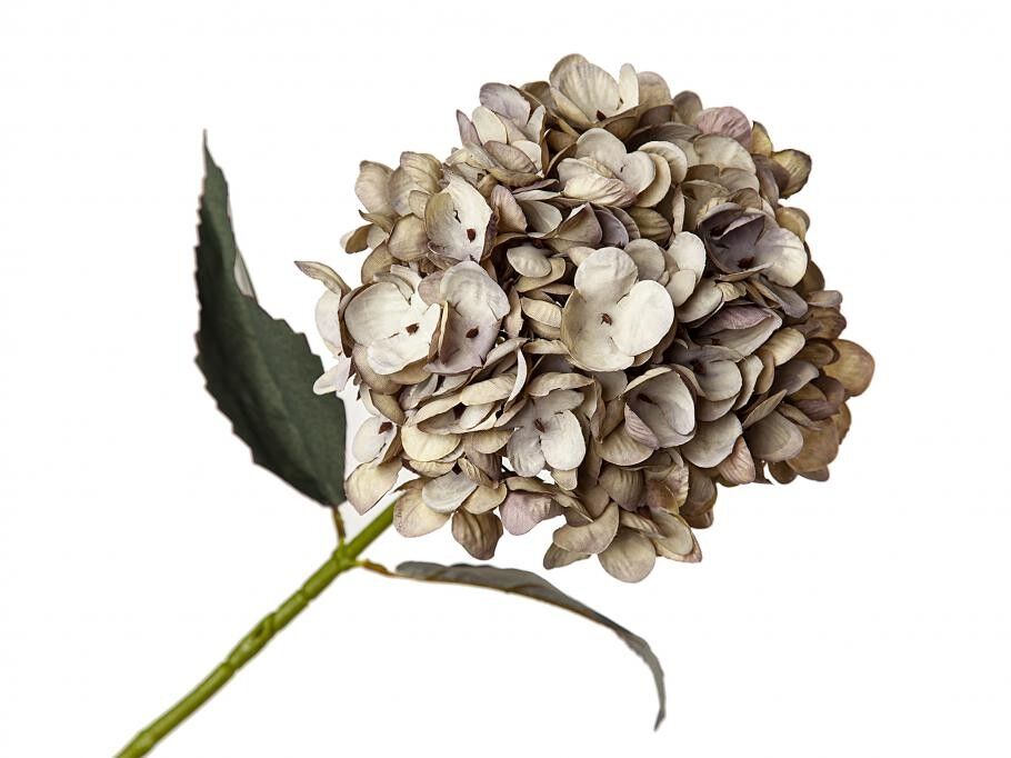 Buy wholesale ARTIFICIAL GRAY HYDRANGEA FLOWER