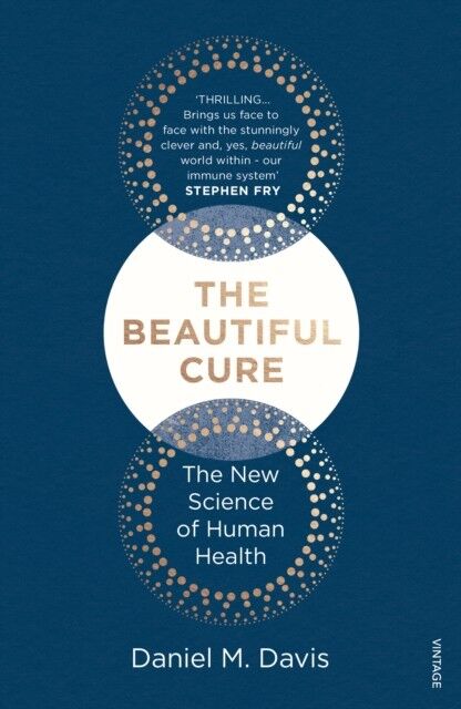 Buy wholesale The Beautiful Cure by Daniel M Davis